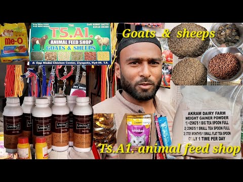 goats and sheeps feed shop | Ts goats sale | in  jiyaguda Hyderabad