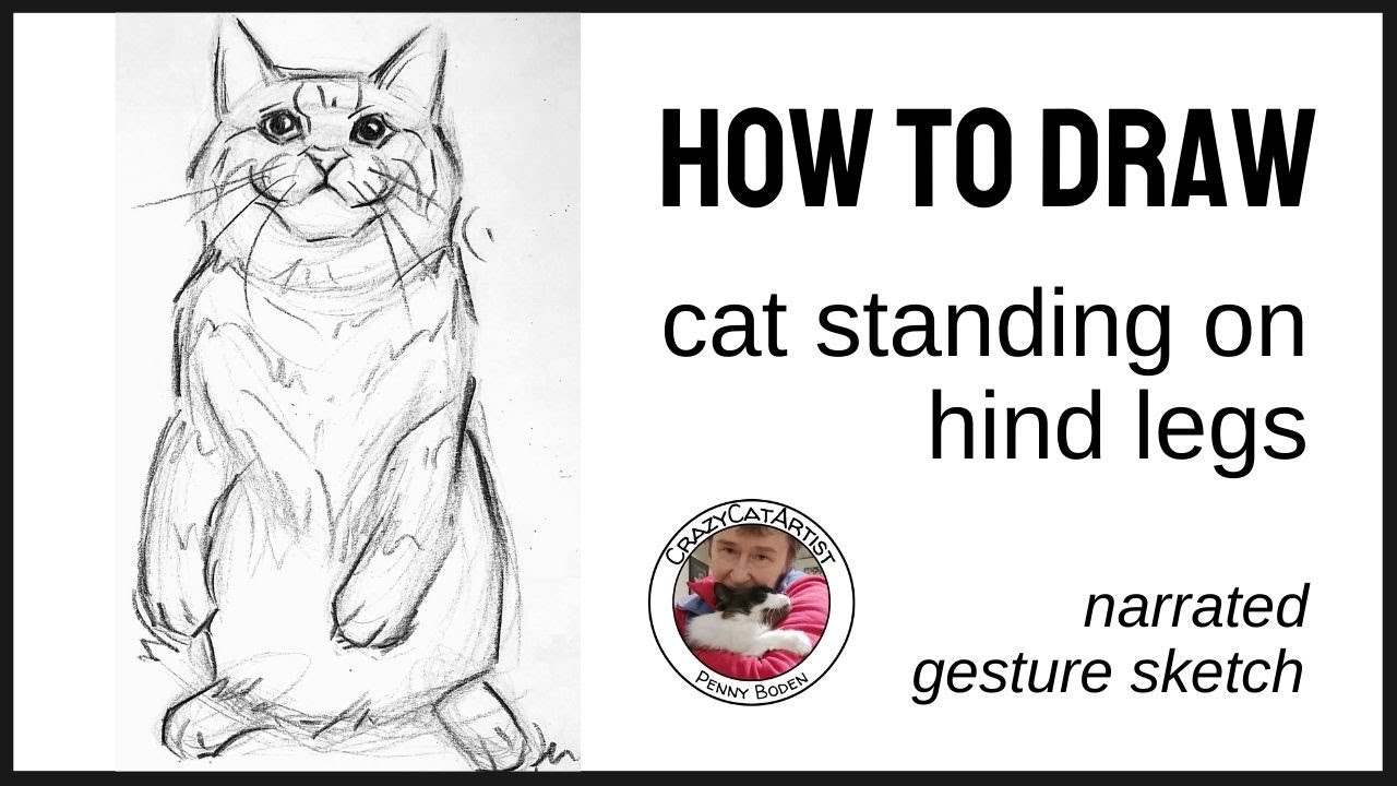 How to Draw a Cat Standing on Hind Legs | Up on Two Legs | Sitting on ...