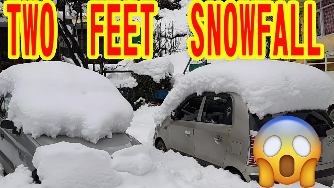 Two Feet Snowfall in Manali ||Snowball Fight | Enjoy in Live Snowfall ...