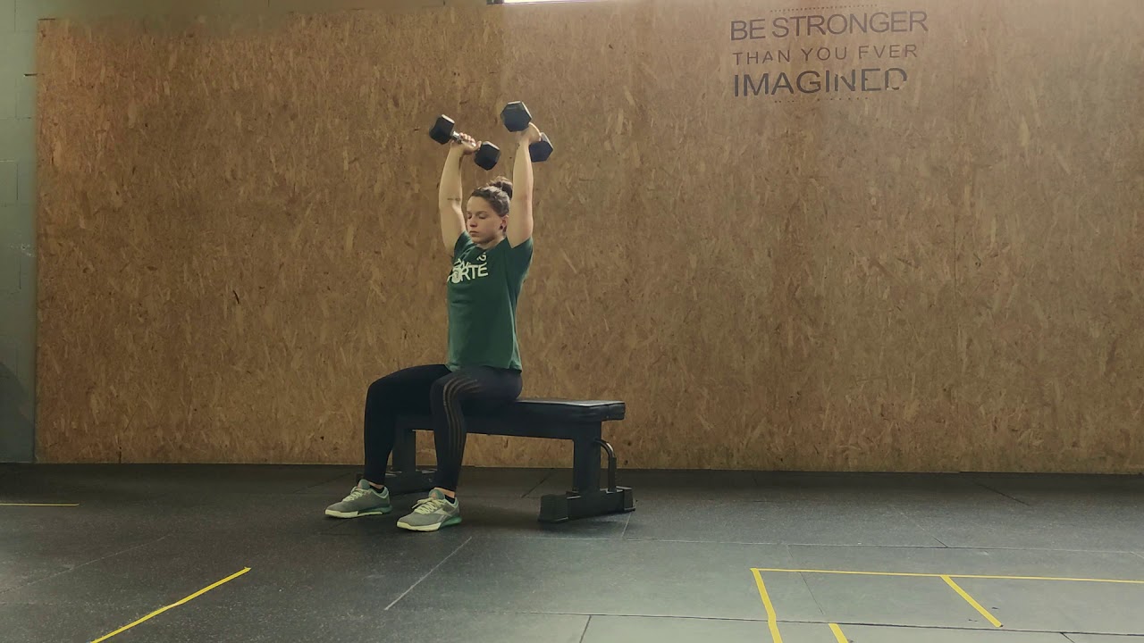 SEATED DOUBLE DB SHOULDER PRESS - YouTube