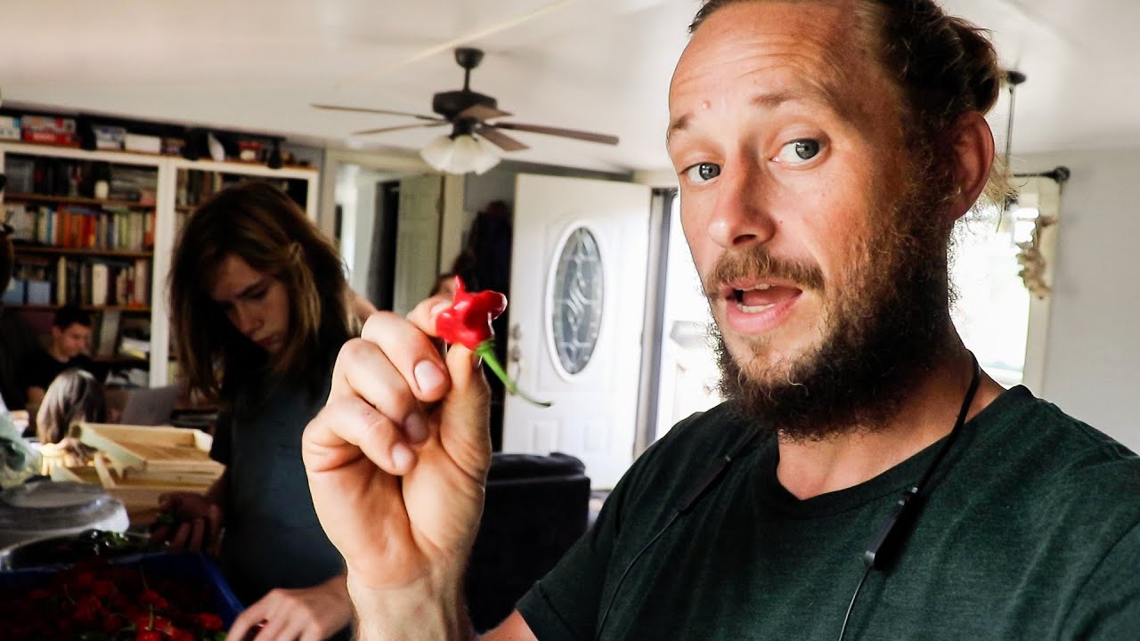 Perfect Pepper Preservation Possibilities - YouTube