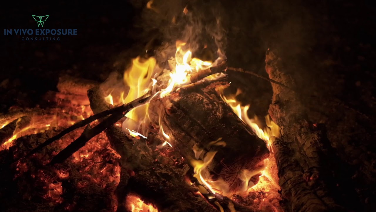 Virtual Bonfire - 2021 New Year Vision-Board Party - YouTube