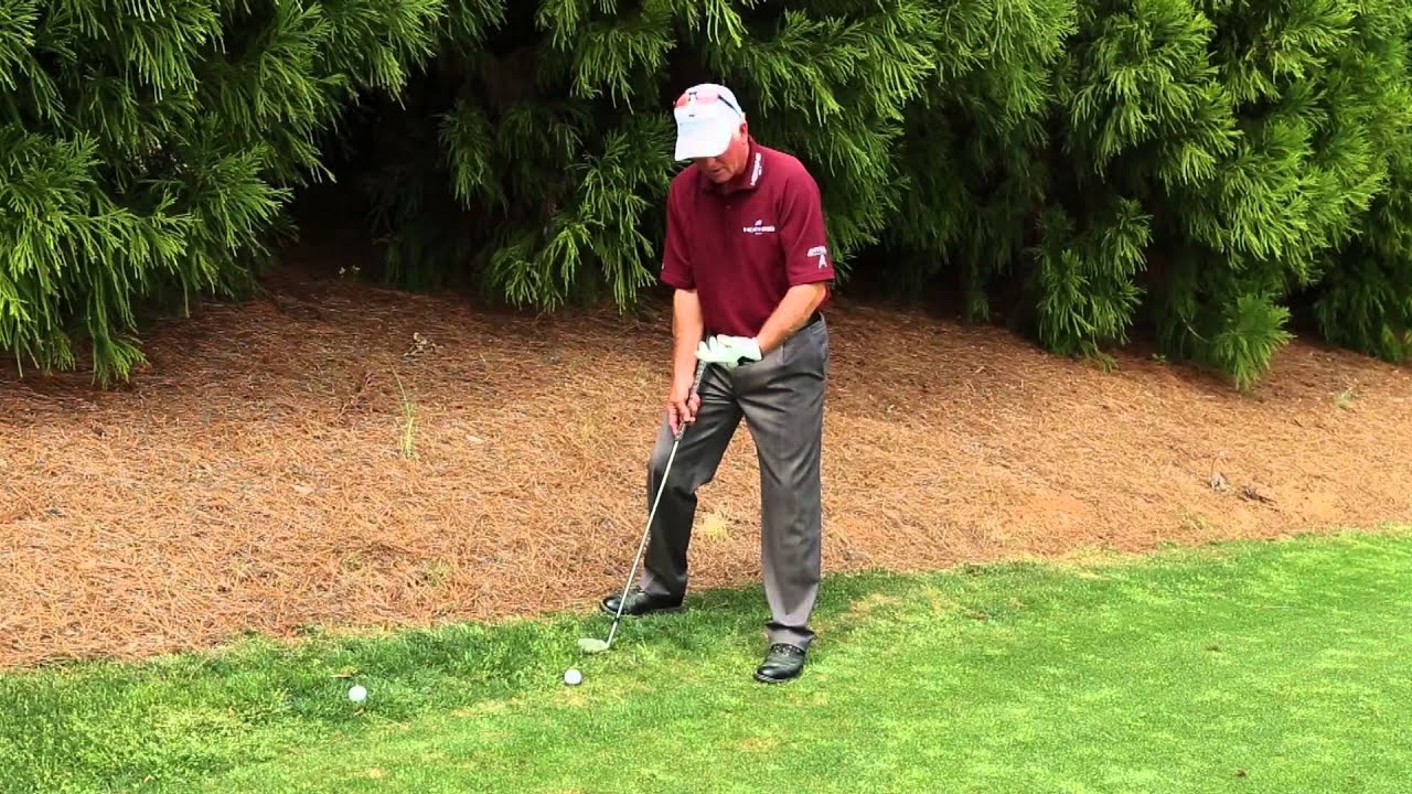 Against the Collar with Dan Pohl - YouTube