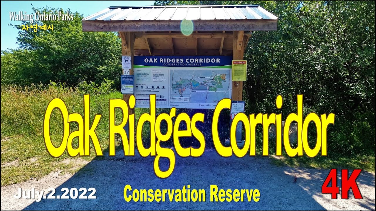 [4K] Oak Ridges Corridor Trail, Richmond Hill, [July.2, 2022] - YouTube