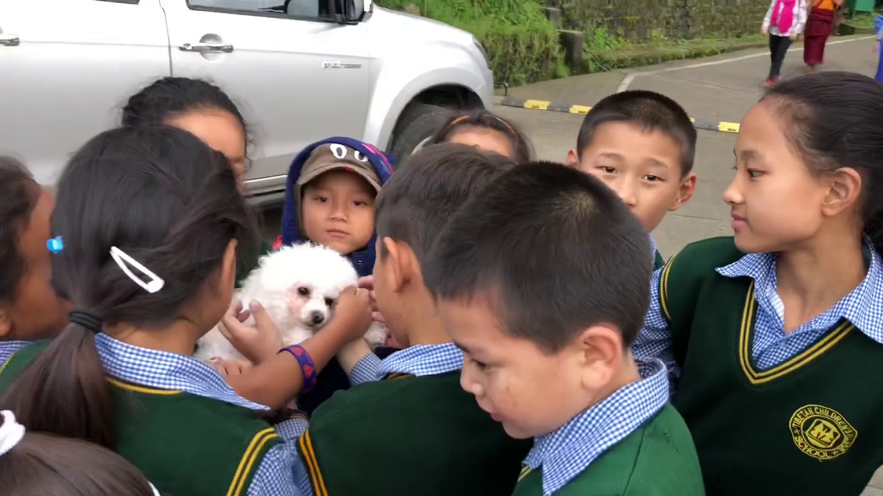 Singay’s day out at upper TCV school. - YouTube
