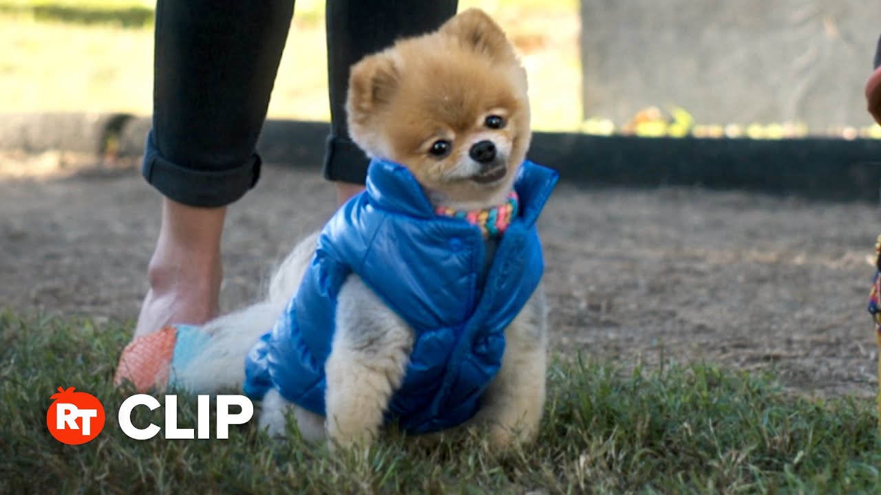Strays Movie Clip - Not Angry (2023) - YouTube