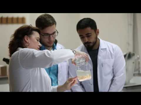 Tercih Rehberi Filmi - Dokuz Eylül Üniversitesi