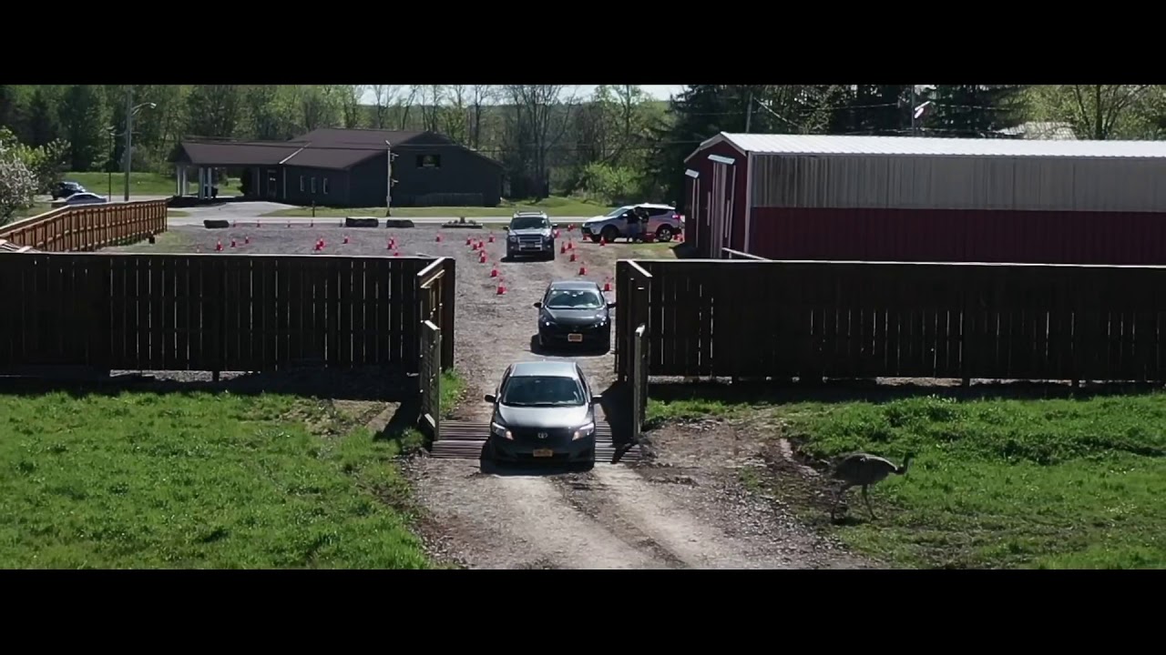 The Wild - Drive Thru Promotion Video One - YouTube