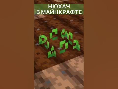 Нюхач в Майнкрафте? Про семена. #minecraft #майнкрафт #нюхач #озвучка # ...
