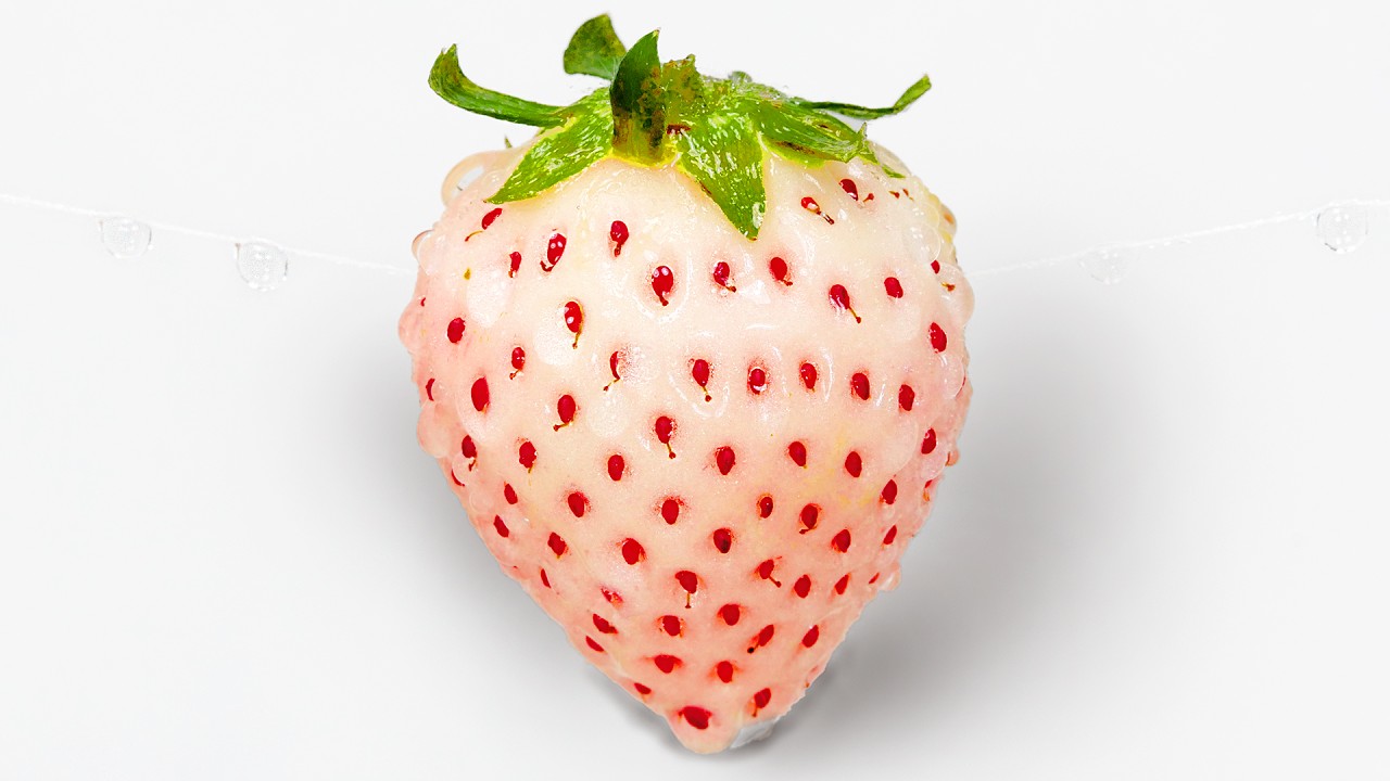 White Strawberry Long Time Lapse - YouTube