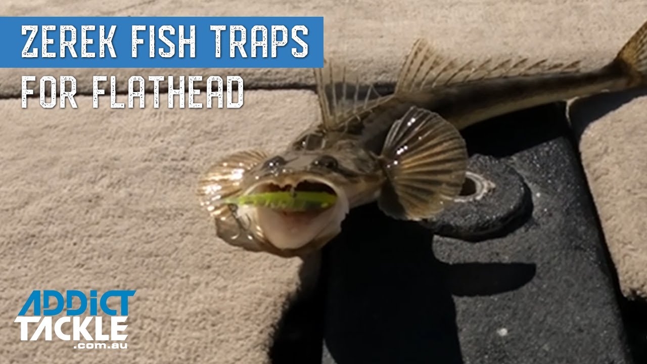 Level Up Your Flathead Game with Zerek Fish Traps - Pro Tips Revealed ...