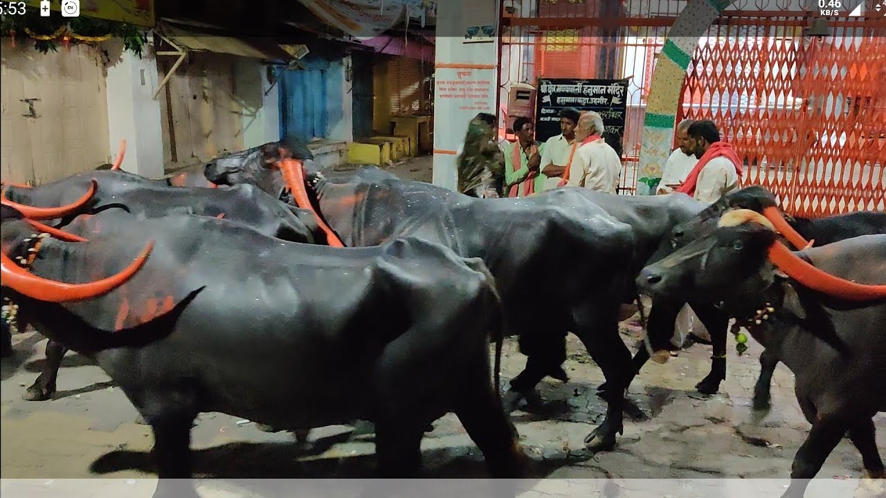 gavali galli diwali 2018 - YouTube