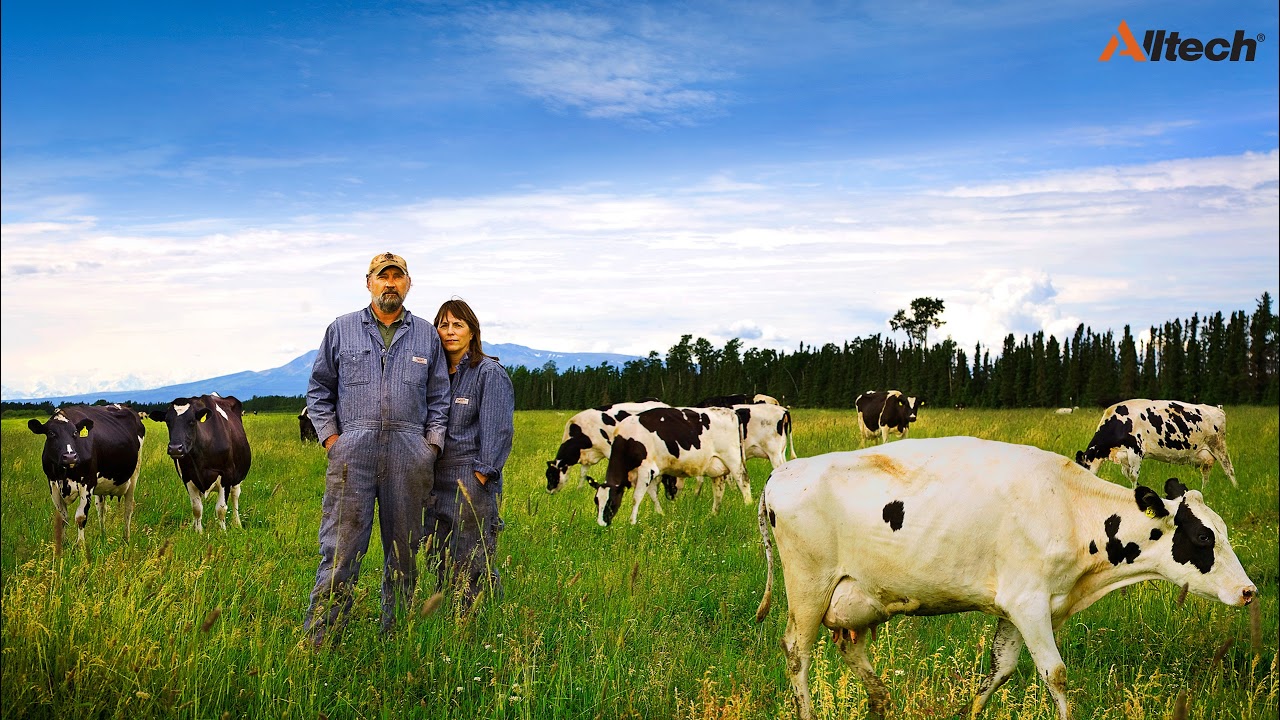 Alltech Live Stream - YouTube