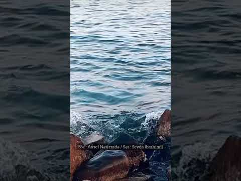 Aysel Nəsirzadə  / Sevda İbrahimli