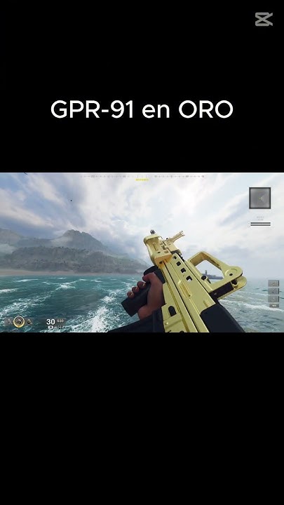 GPR 91 en ORO de BO6 #warzone #callofduty #callofdutywarzoneclips # ...