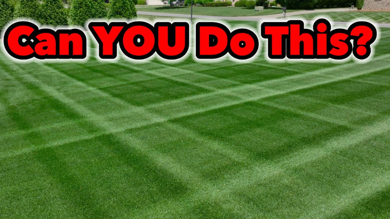 WIN $1000 Match This Lawn Striping Pattern - YouTube