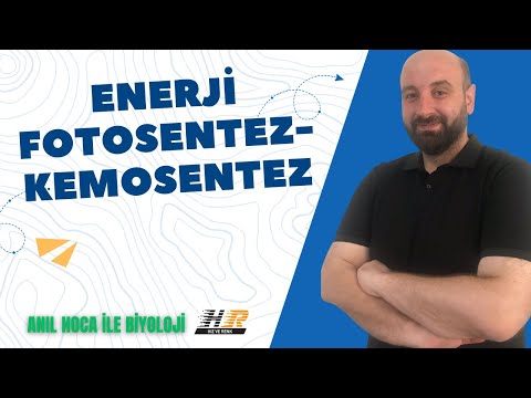 YENİ 10.SINIF-FOTOSENTEZ-KEMOSENTEZ