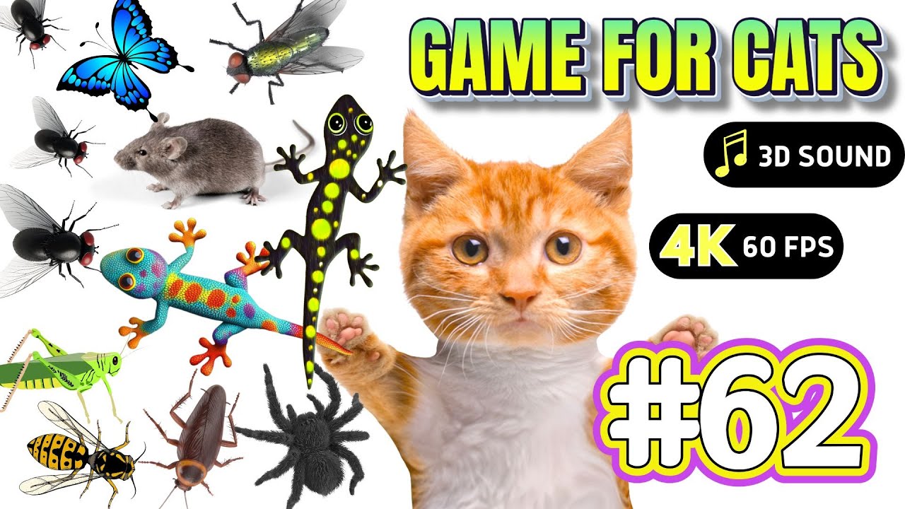 Cat Game - Ultimate Cat Toy Compilation For Cats To Watch #62🦎Lizards🦎 ...