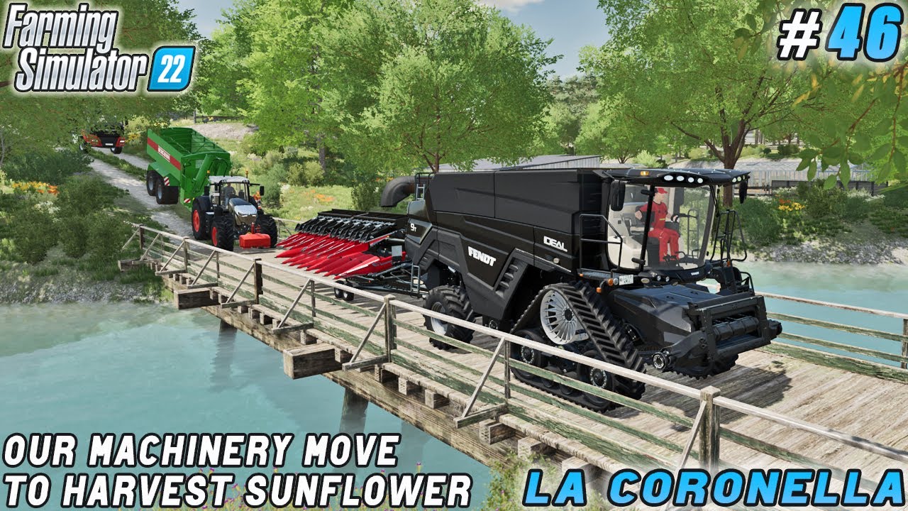 Start-Up for Beverage and Margarine Production, Sunflower Harvesting ...