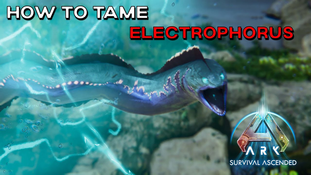 ARK Survival Ascended | How To Tame ELECTROPHORUS - YouTube