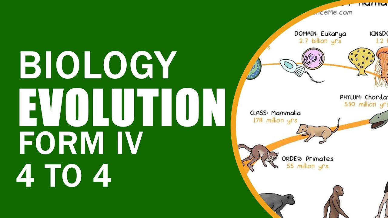 BIOLOGY FORM FOUR EVOLUTION 4 TO 4 - YouTube