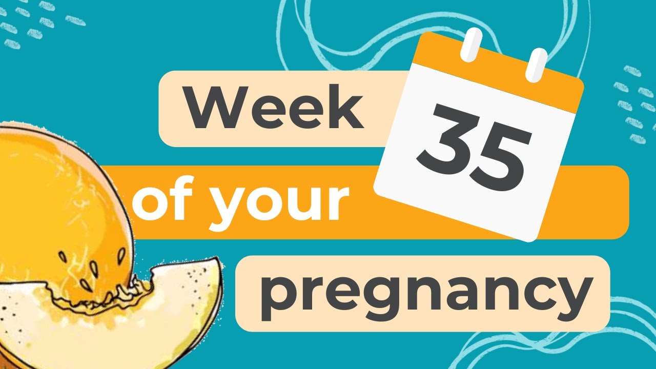Everything You Need to Know in Week 35 of Your Pregnancy | Your Baby ...