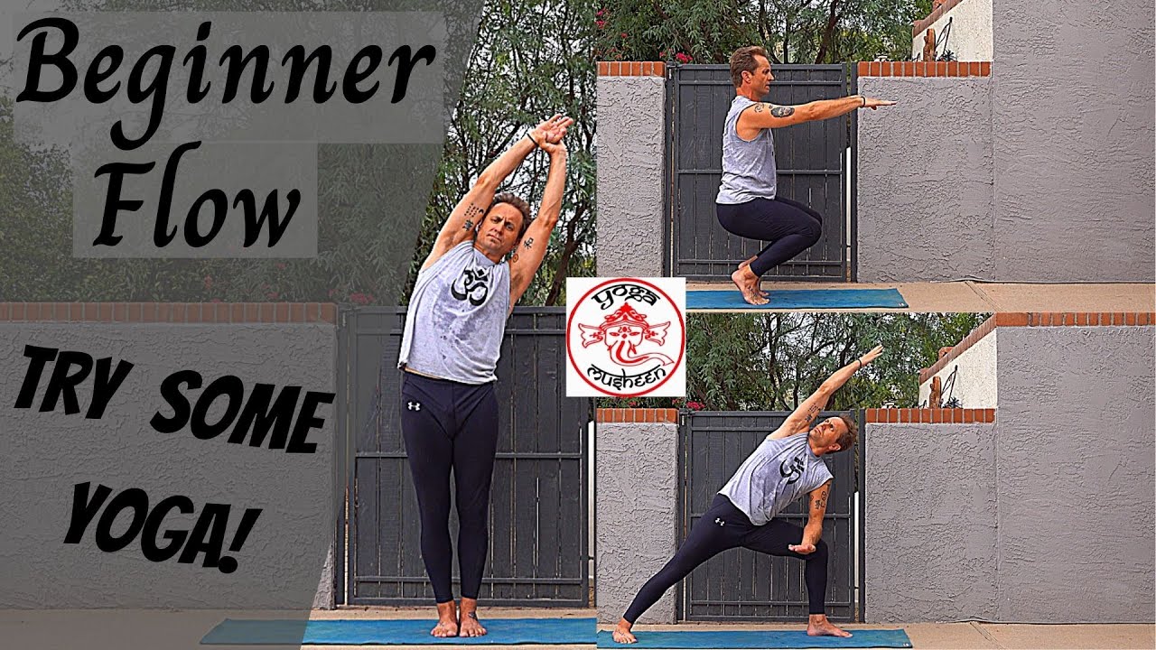 Beginner Yoga Flow - A Yoga Intro. for Newbies - YouTube