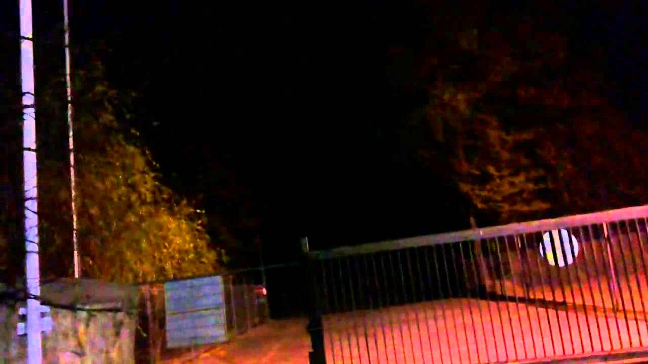 El canto de un tue tue - YouTube