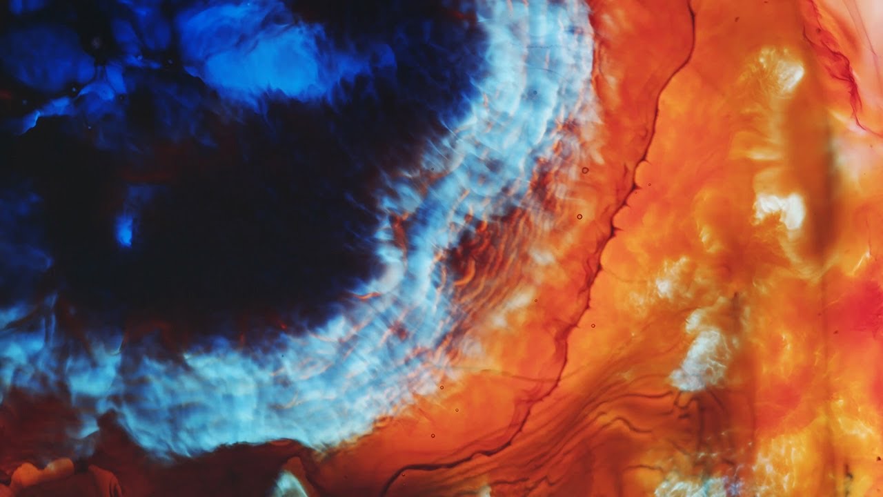 Halo: A Microscopic Short Film