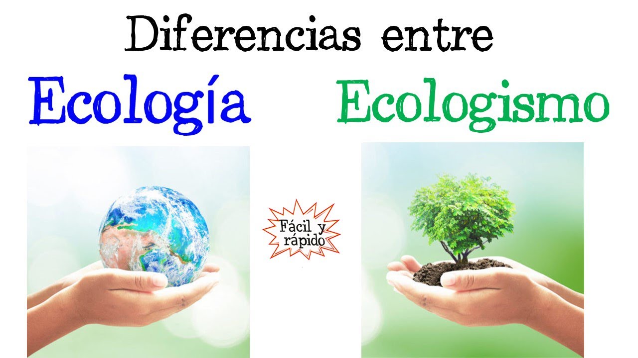 🌎Diferencias entre Ecología y Ecologismo🌿 [Fácil y Rápido] | BIOLOGÍA ...