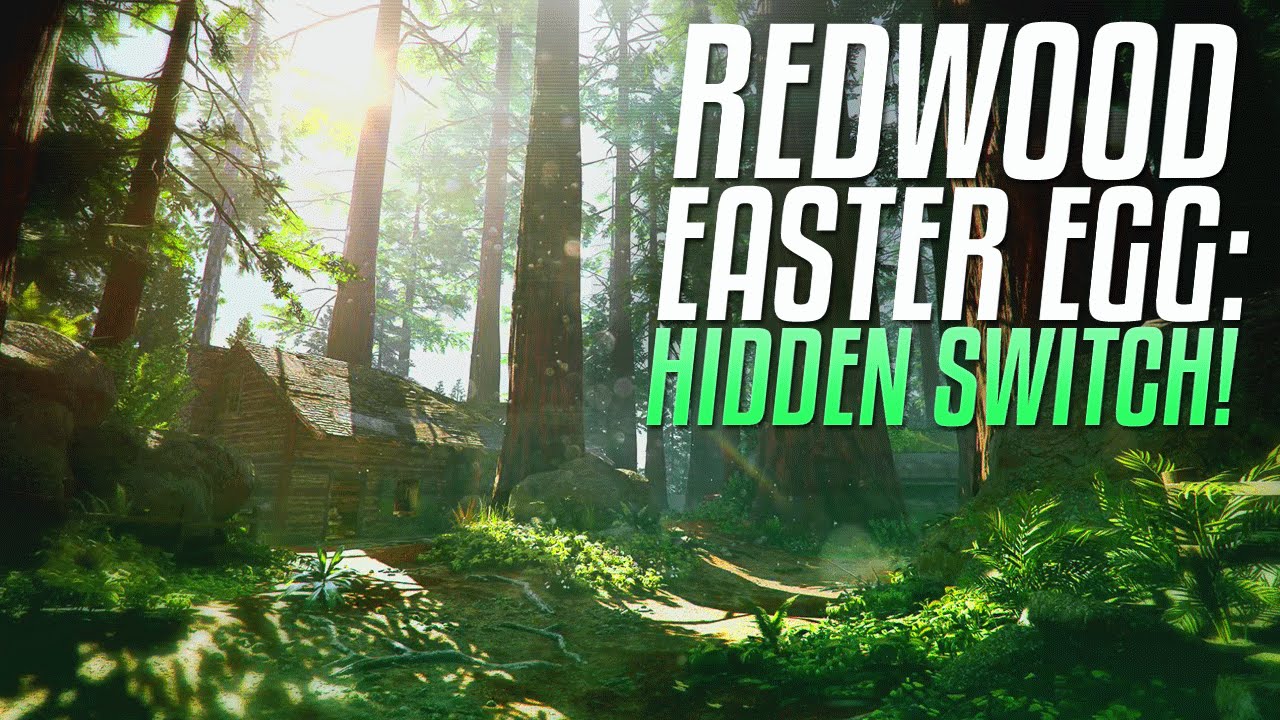 Redwood Easter Egg: Hidden Switch? (Call of Duty: Black Ops 3) - YouTube
