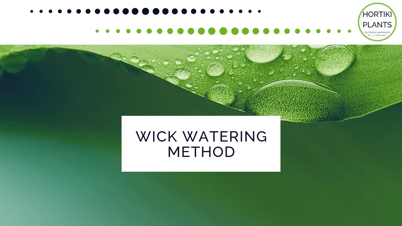 Wick Watering System for Houseplants - YouTube