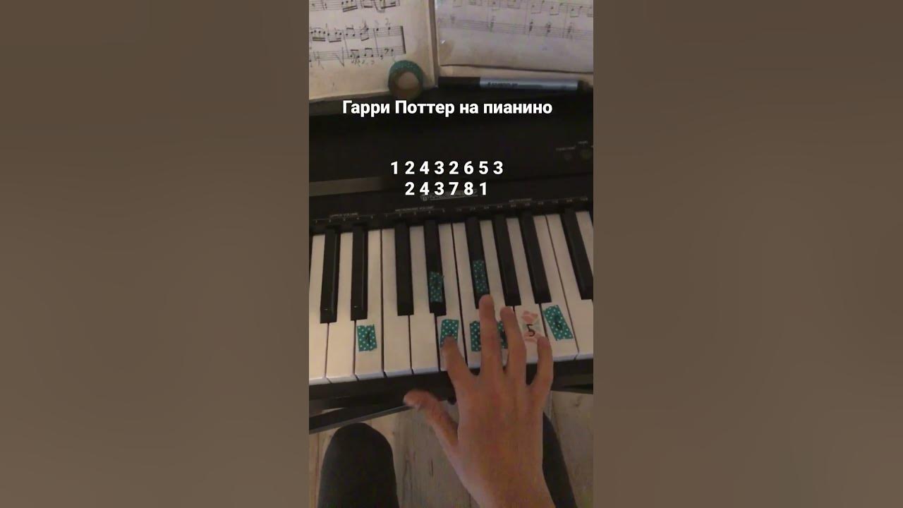 Гарри Поттер на пианино пианинодляначинающих пианино фортепиано Youtube