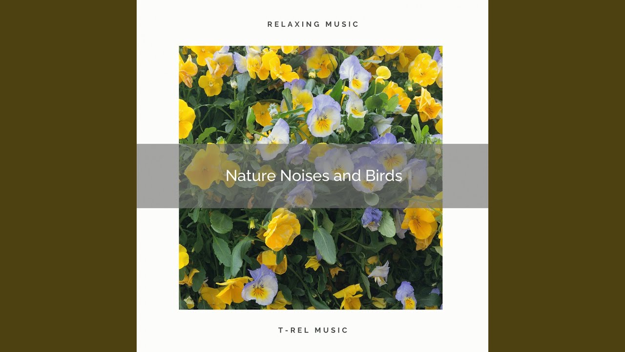 Reach Total Relax with Unique Nature Sounds for Recharge pt. 1 - YouTube