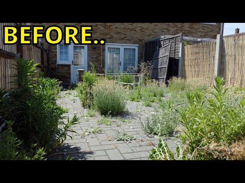 Father DEVASTATED By His OVERGROWN Garden! Neighbour Calls Him LAZY.. He Just Needed A Helping HAND
