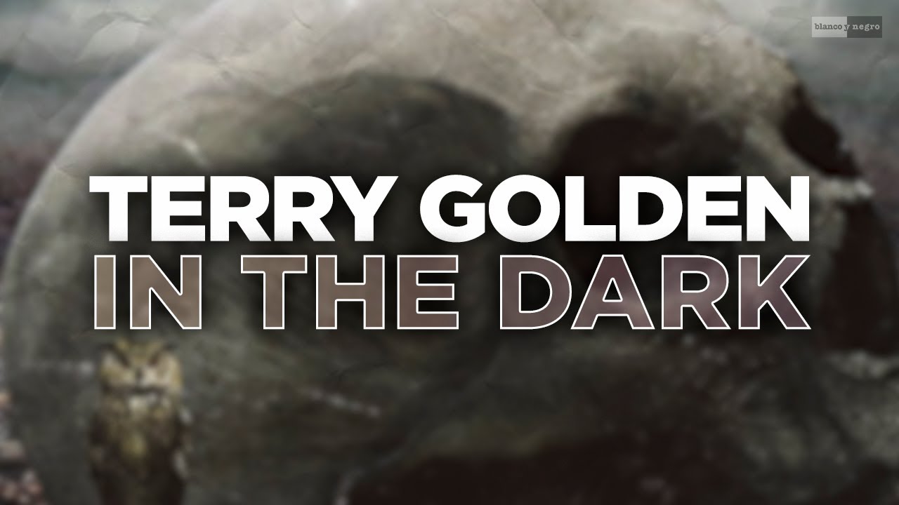 Terry Golden - In The Dark (Official Audio) - YouTube
