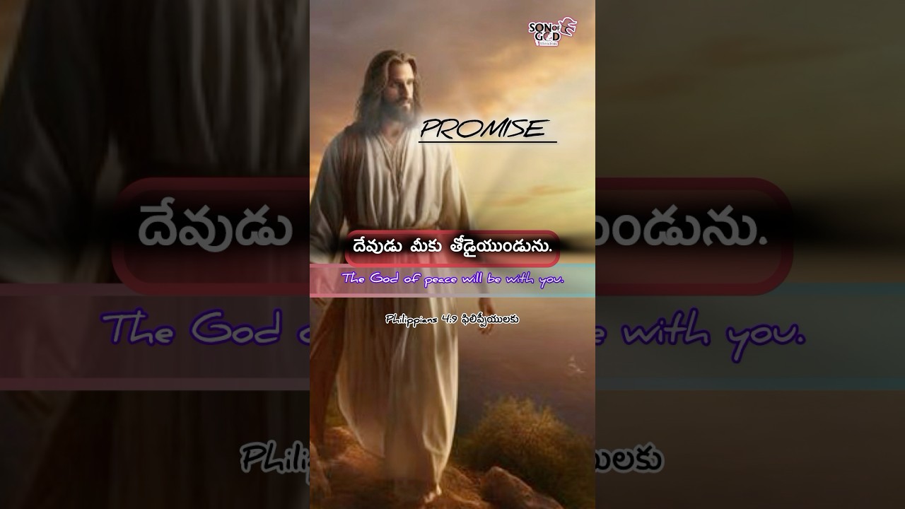 Promise from the LORD #promise #dailyword #gospel #bibleverse #prayer # ...