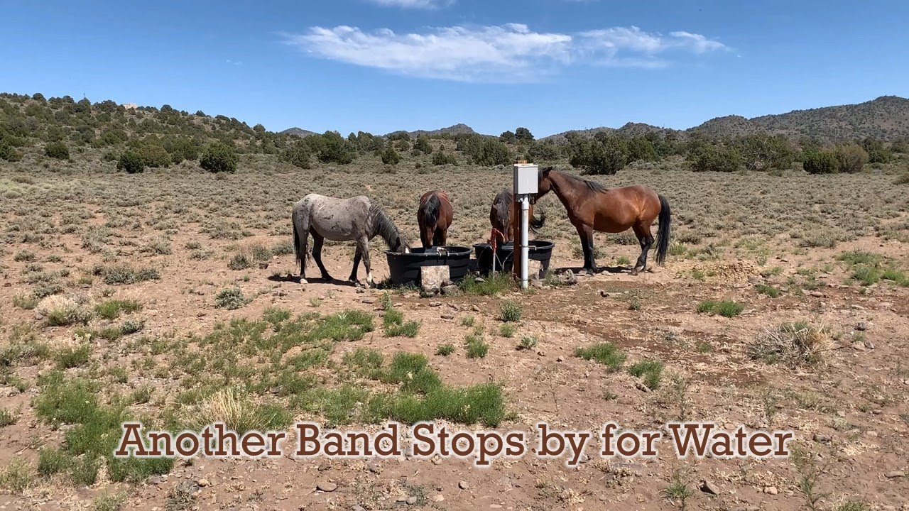 Another Band Stops by for Water - YouTube