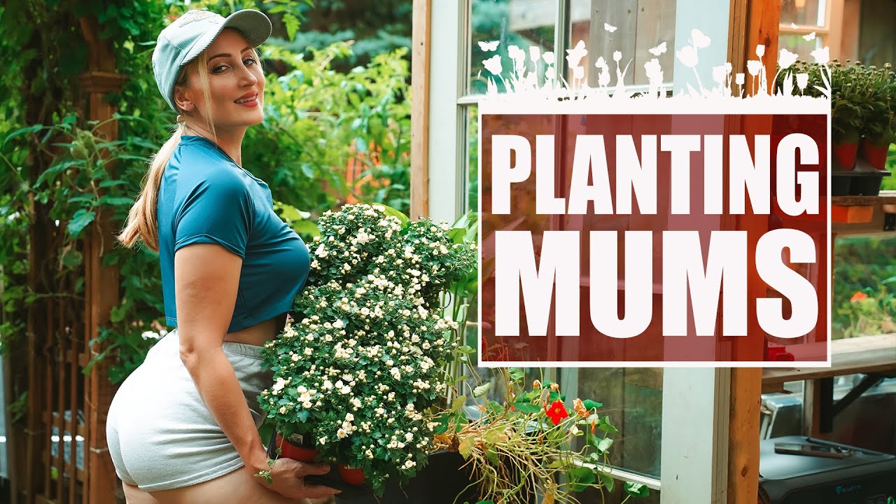 Refreshing The Garden for Spooky Season with MUMS! - YouTube