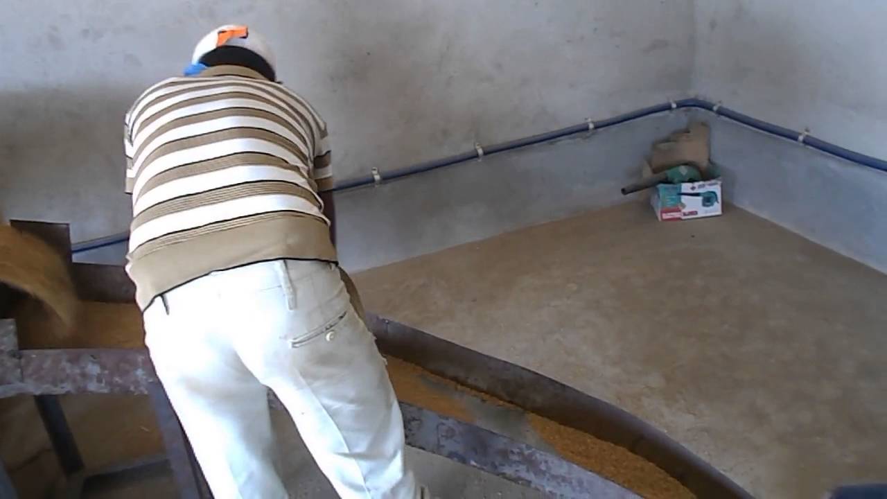 Paddy seed processing video-1 - YouTube