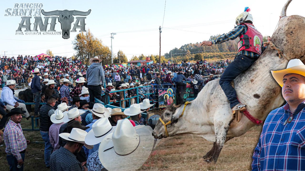 LE DEDICA LA MONTA A SUS PADRES Y SE VA FRACTURADO :S TURIAN ALTO 2023 ...