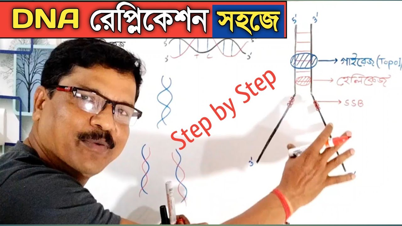 DNA Replication in bangla। DNA রেপ্লিকেশন। - YouTube