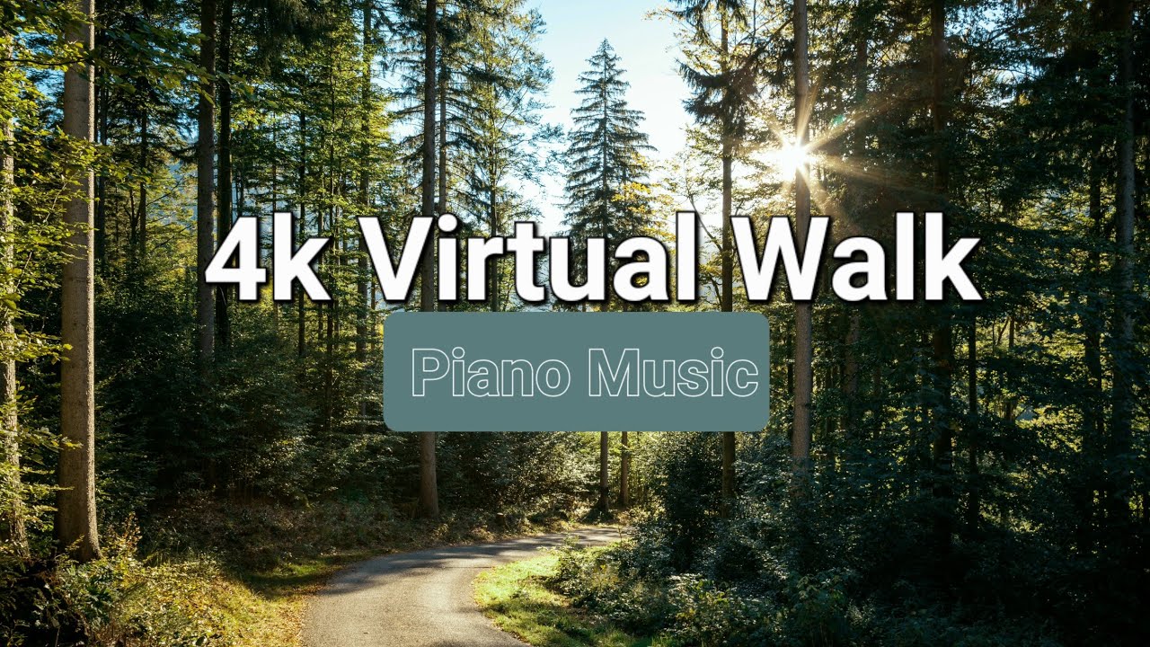4k Virtual Walk in the Forest with Piano Music to relax - YouTube
