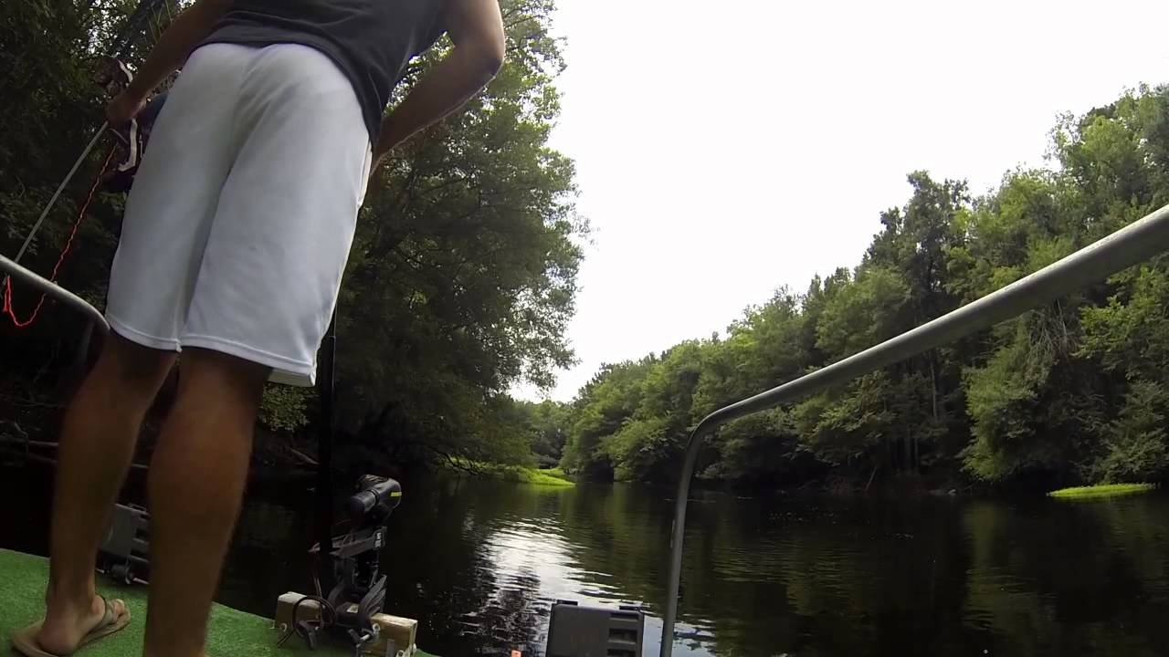 William Ard Bowfishing in South Carolina - YouTube
