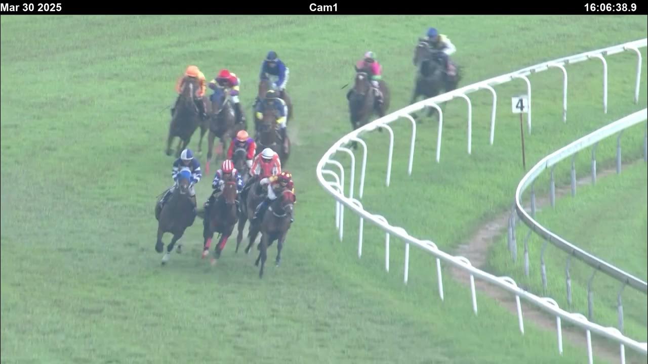 2025-03-30 (R08) - YouTube