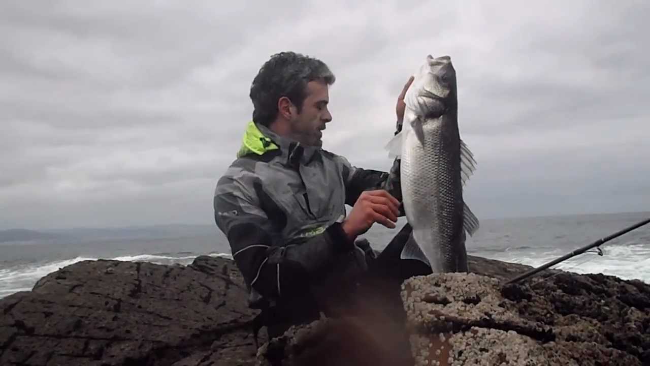 la pesca de robalo de 6 kilos al primer lance. - YouTube