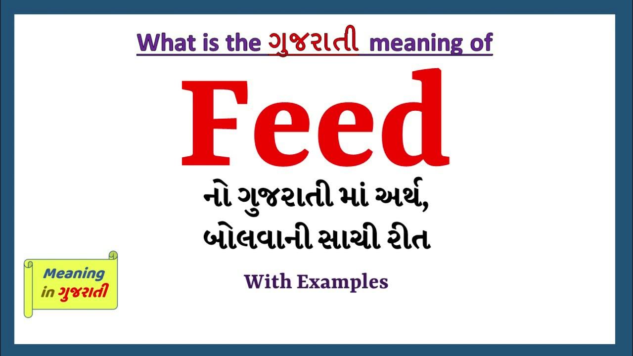 Feed Meaning In Gujarati Feed Feed In Gujarati feed-meaning-in-gujarati-feed-feed-in-gujarati