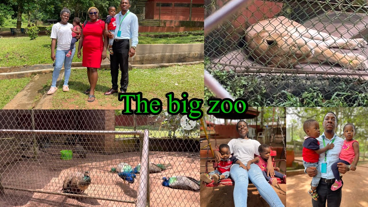 A VISIT TO THE BIG POPULAR OGBA ZOO IN BENIN CITY #thegibsonfamily# ...