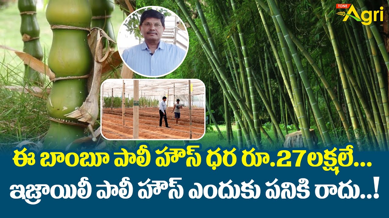 Bamboo Polyhouse | Veduru Bongu Polyhouse | ఈ బాంబూ పాలీ హౌస్ ధర రూ ...
