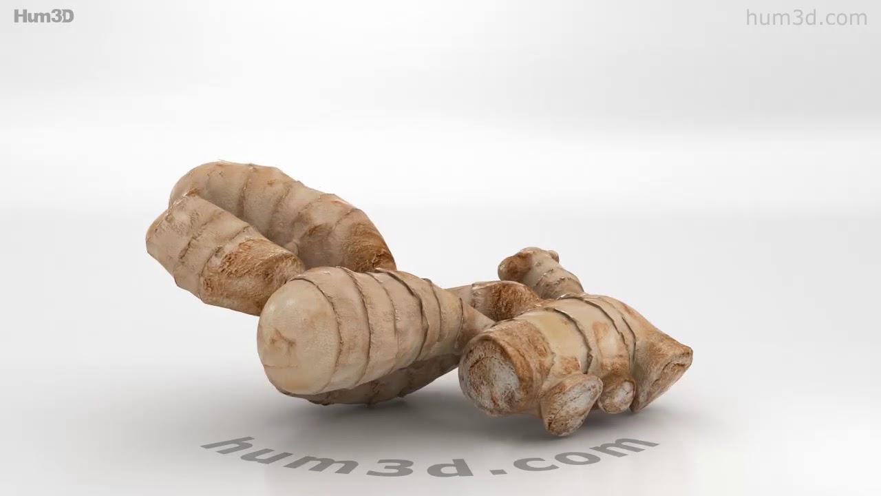 Ginger 3D model by 3DModels.org - YouTube